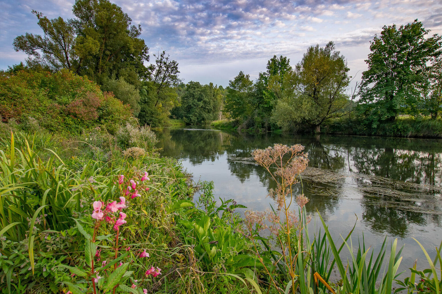 Vilserlebnis - Amberg-Sulzbacher Land